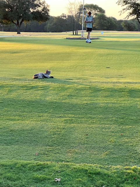 Decatur Golf Club | Decatur, TX